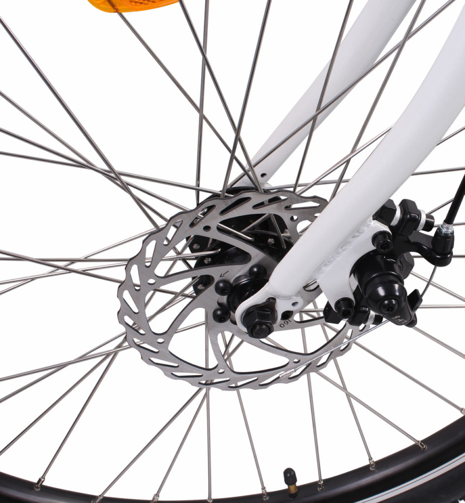 Tidal Wave - Wave Electric Bikes